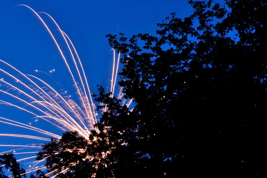 Fireworks Gone Wild
