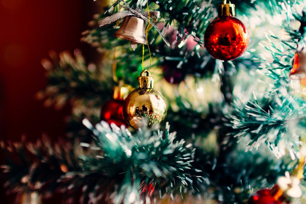The Great Christmas Tree Topple